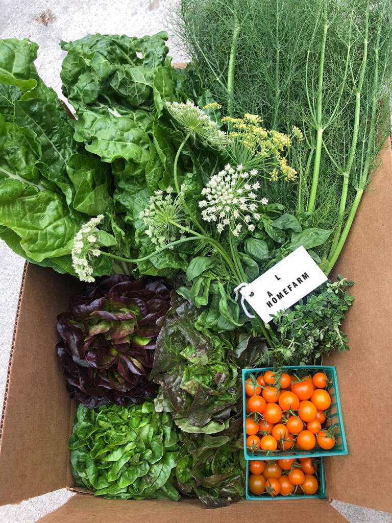 Farm Produce Box - LA HOMEFARM