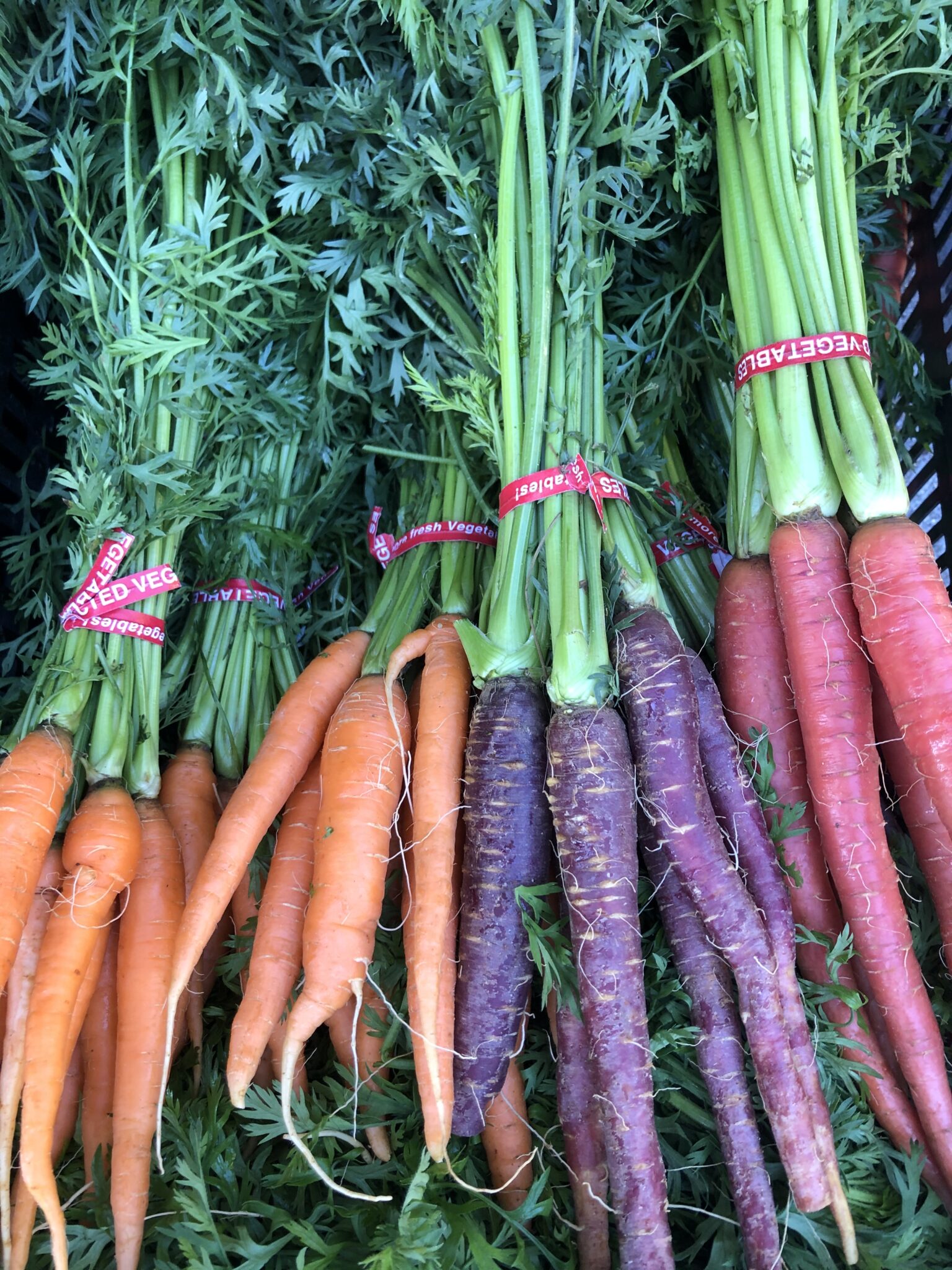 Carrots - LA HOMEFARM