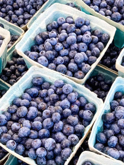 Blueberries - LA HOMEFARM